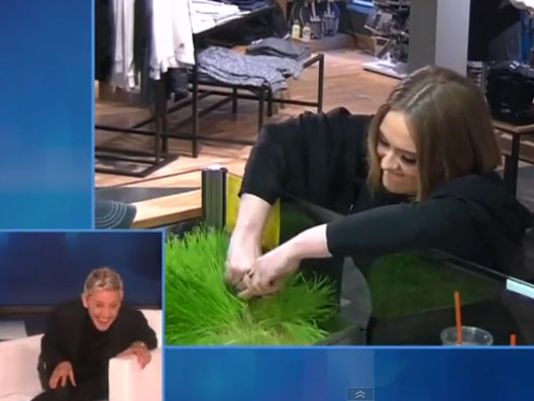 WATCH: Adele, Ellen pull off epic prank at Jamba Juice | 9news.com