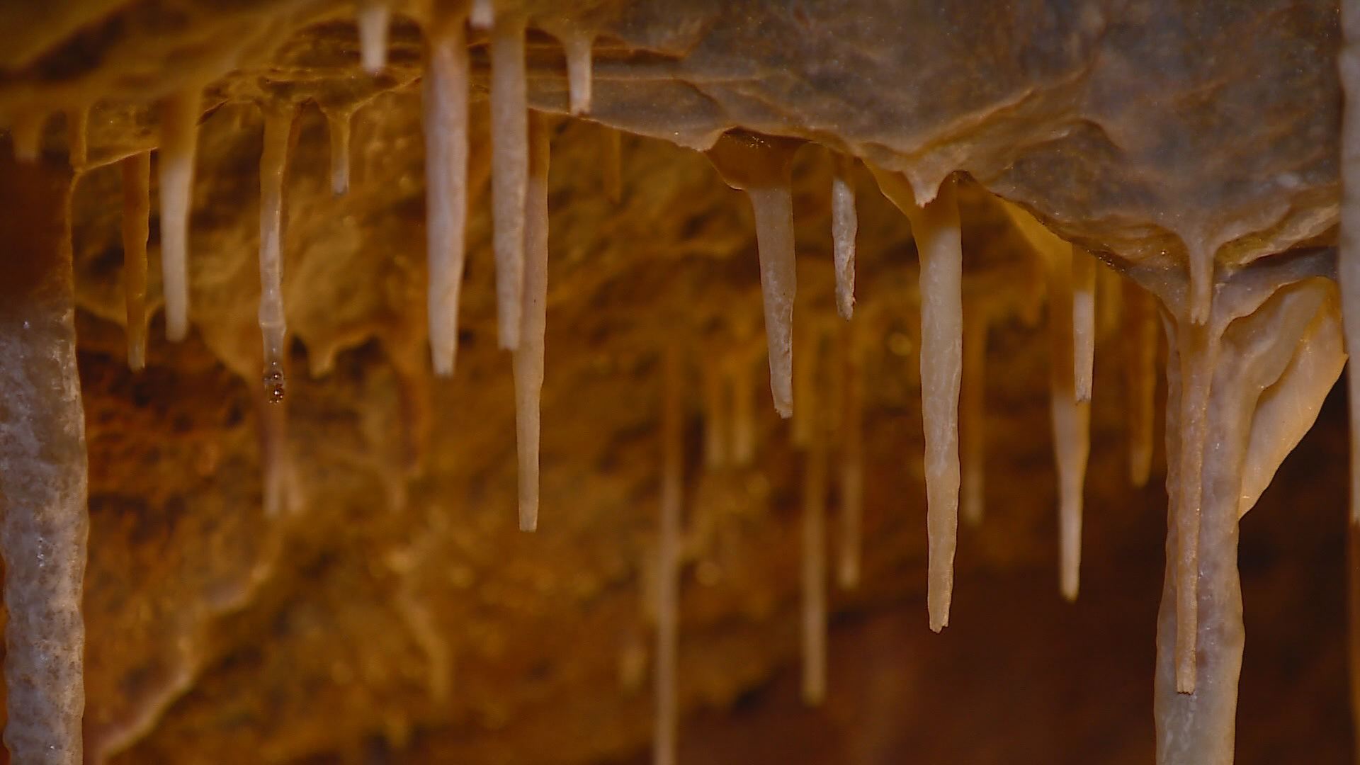 Celebrating the first National Day of Caves | 9news.com