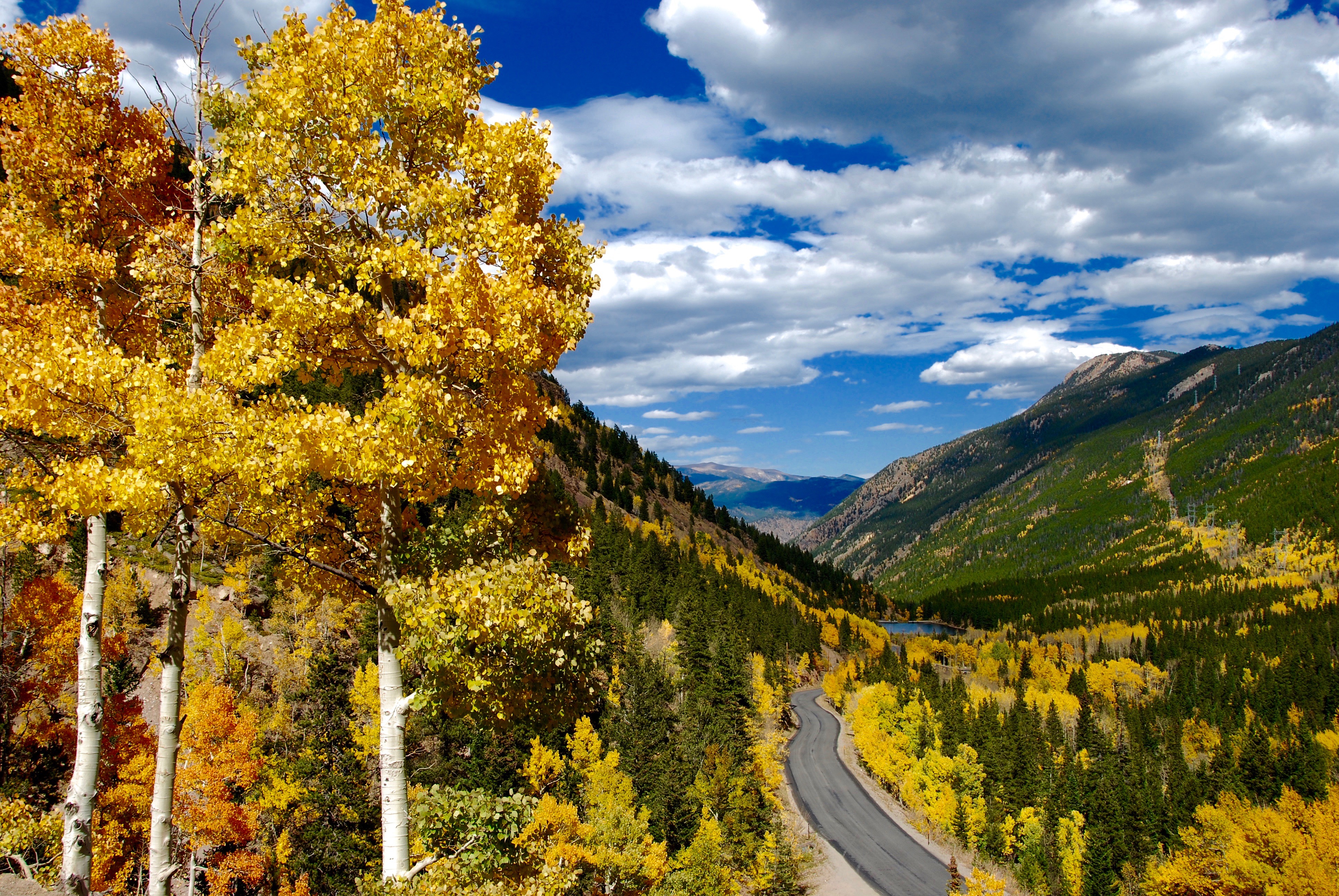 9news Colorado Fall Colors Guide Where And When To See The Best