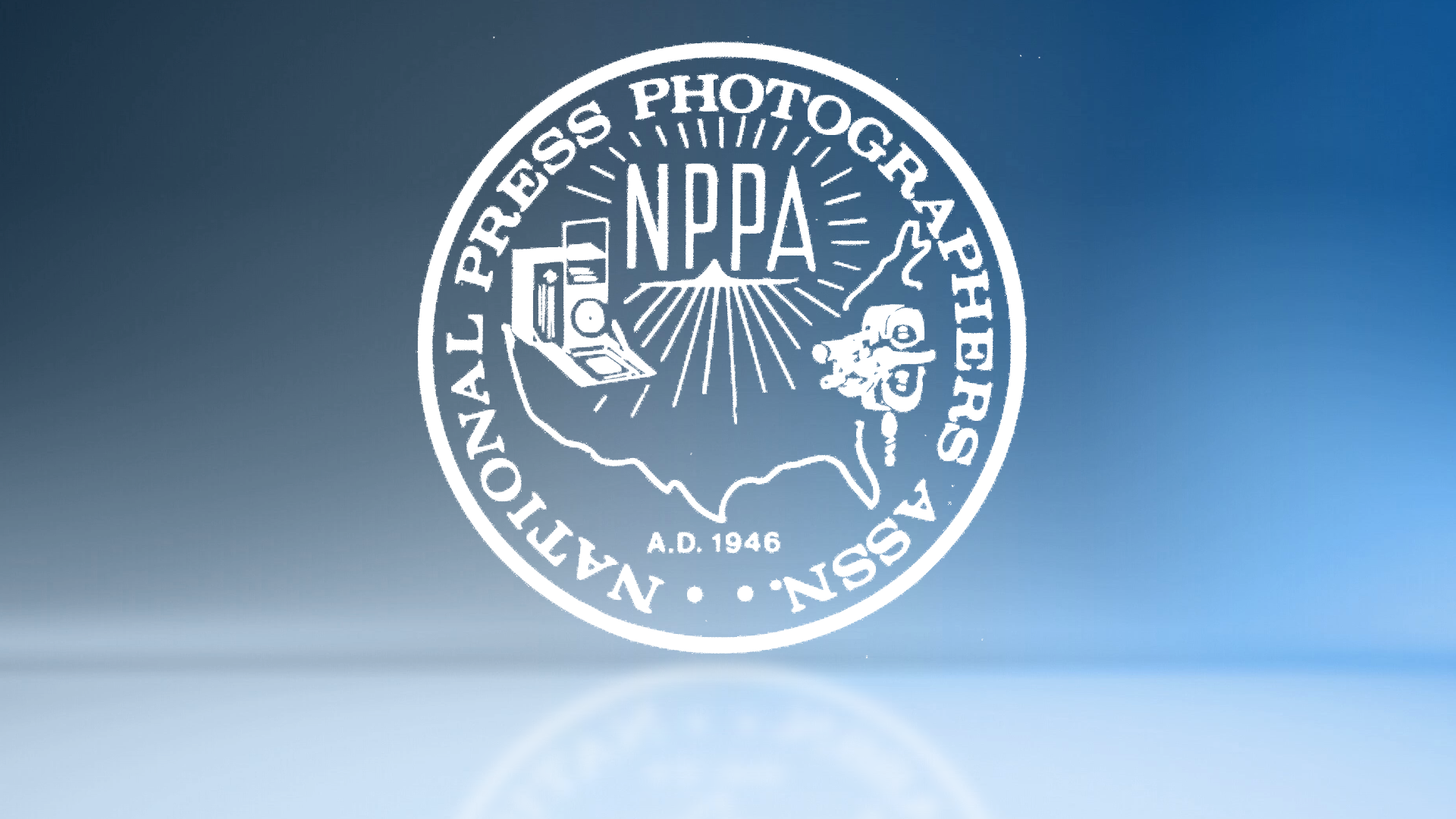 9NEWS mines gold in NPPA competition | 9news.com