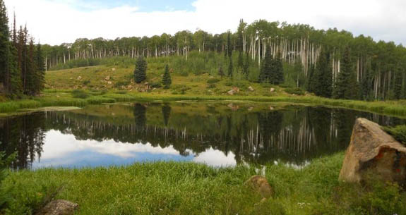 Thompson Divide leases extended 2 more years | 9news.com