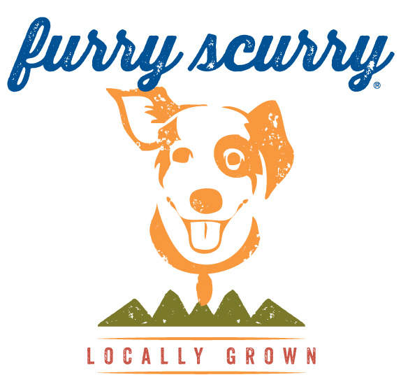 Wagging tails, owners flock to Flurry Scurry | 9news.com