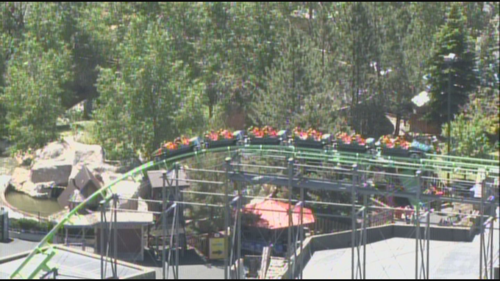 Sidewinder Roller Coaster Elitch Gardens | Fasci Garden
