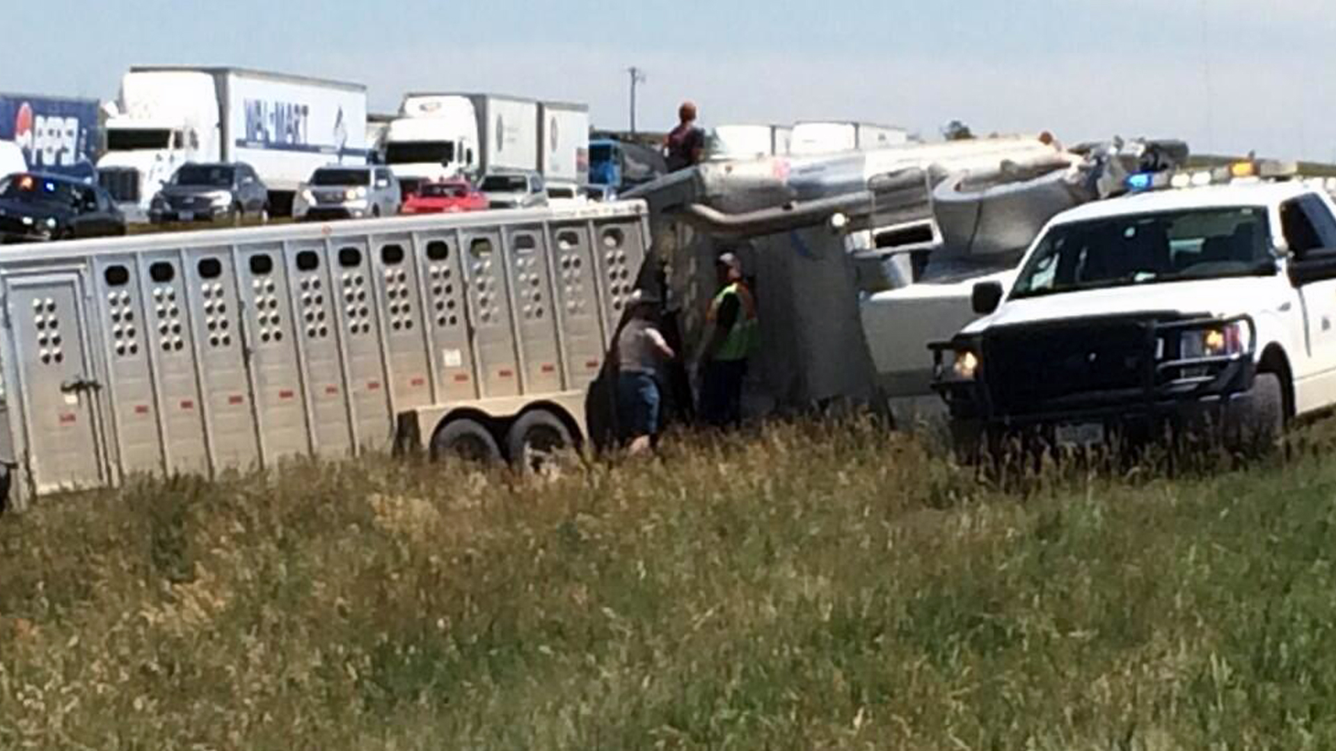 Cattle truck overturns on I-70 | 9news.com