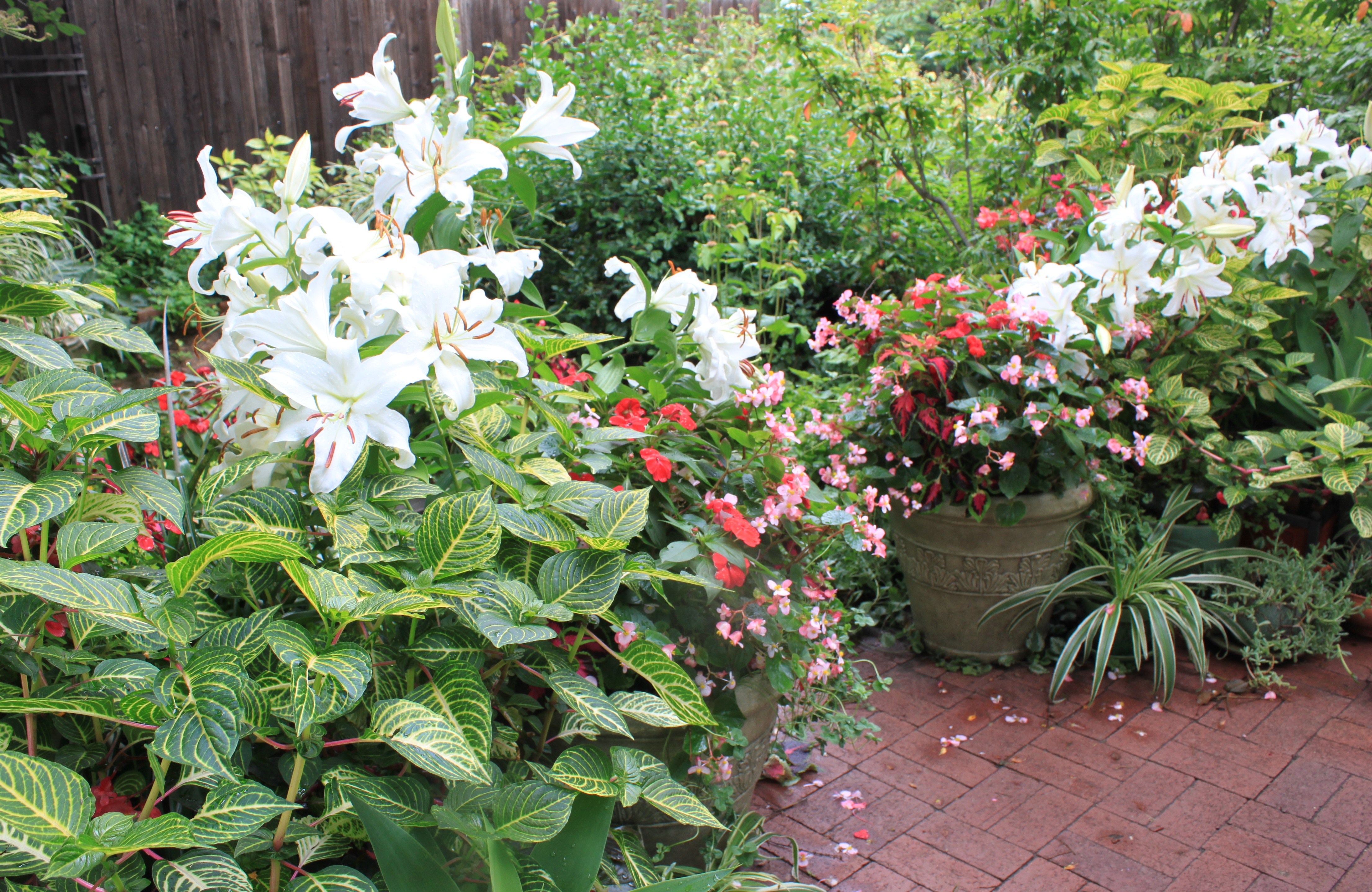 Proctor: Approach the second half of summer excited | 9news.com