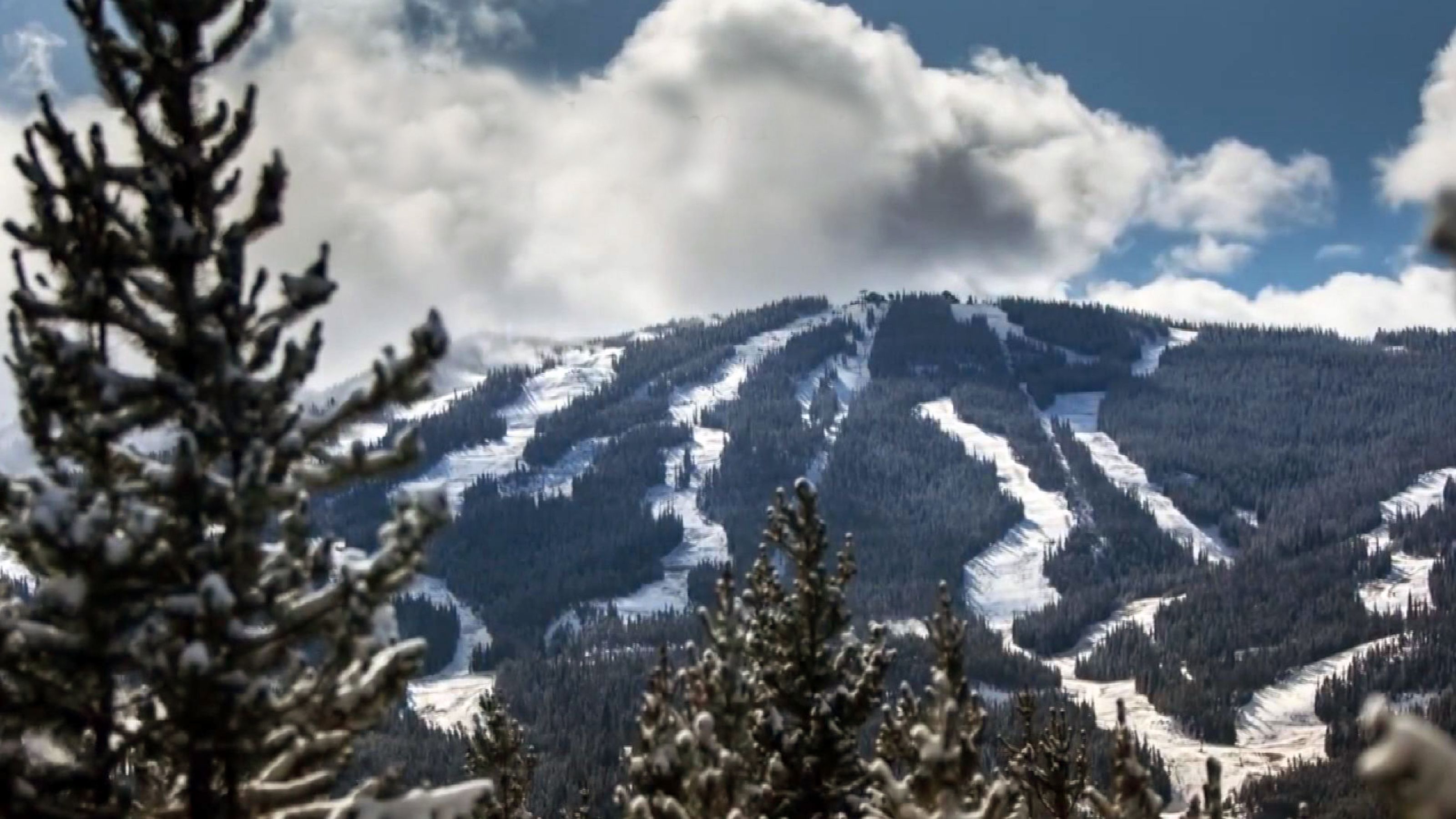 Snowboarder dies after hitting tree at Keystone | 9news.com