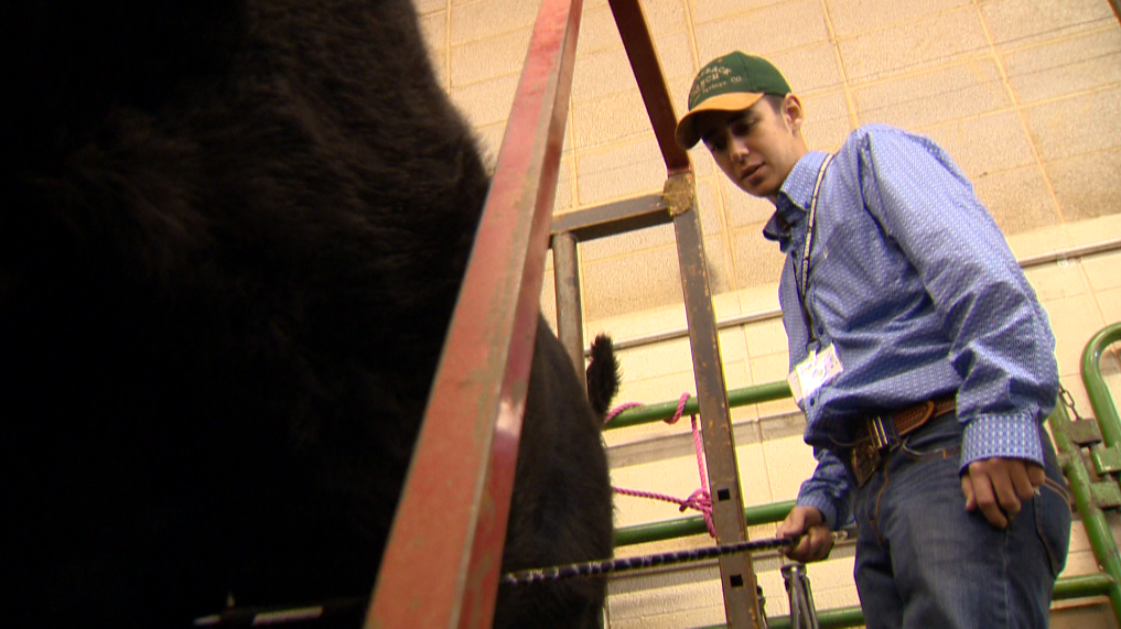 Rancher takes advantage of online school | 9news.com