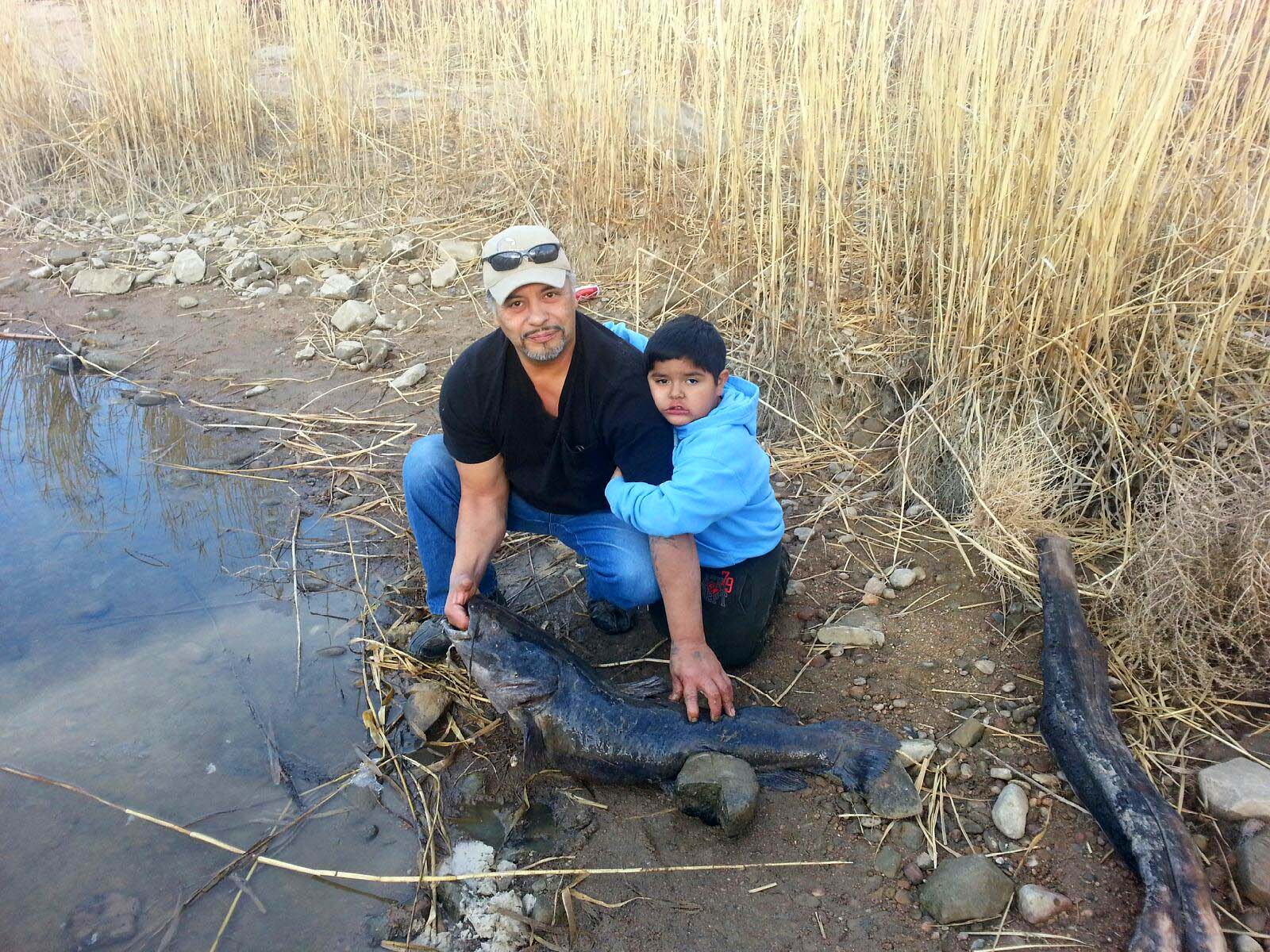 This is the biggest flathead catfish in Colorado | 9news.com