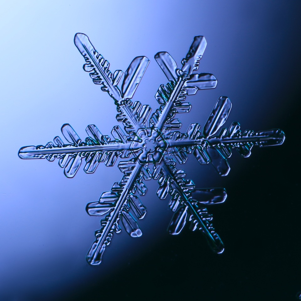 Colorado photographer captures the beauty of a snowflake | 9news.com