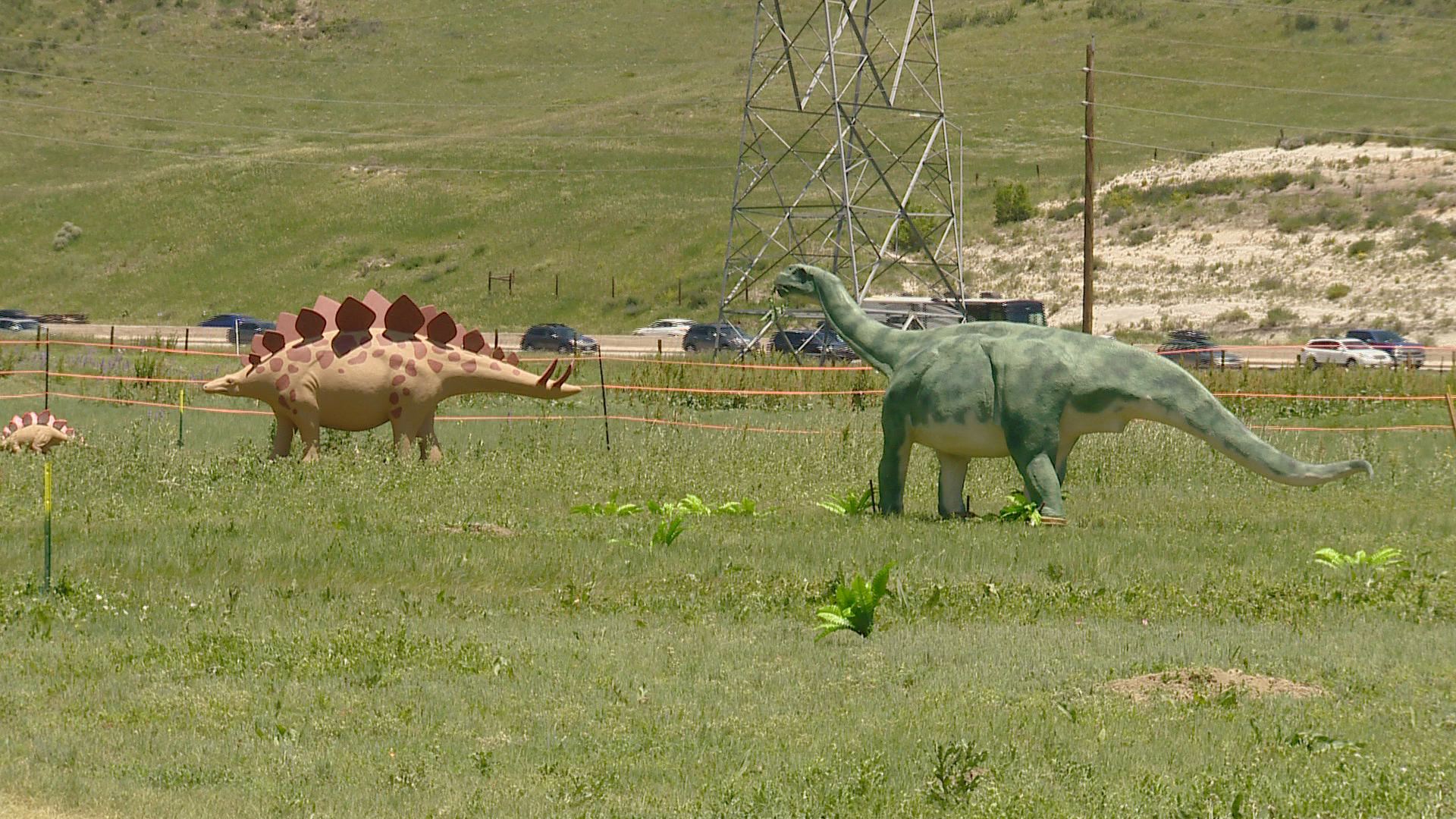 Catch dinosaurs along C-470 this weekend | 9news.com