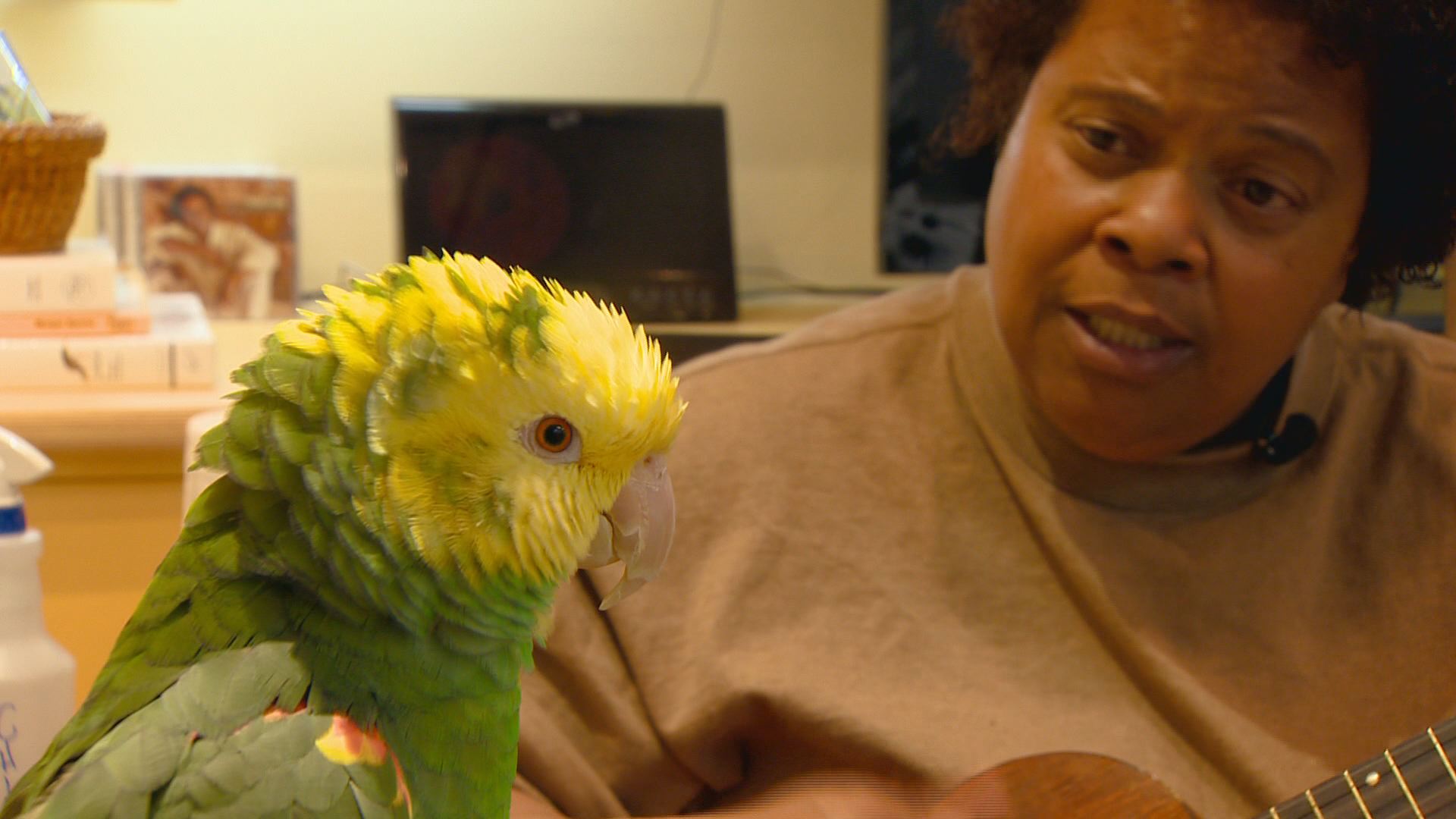 Homeless jazz musician finds solace singing with parrot | 9news.com