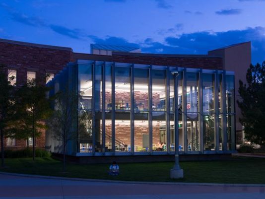 Man arrested for bringing fake gun into CSU library | 9news.com