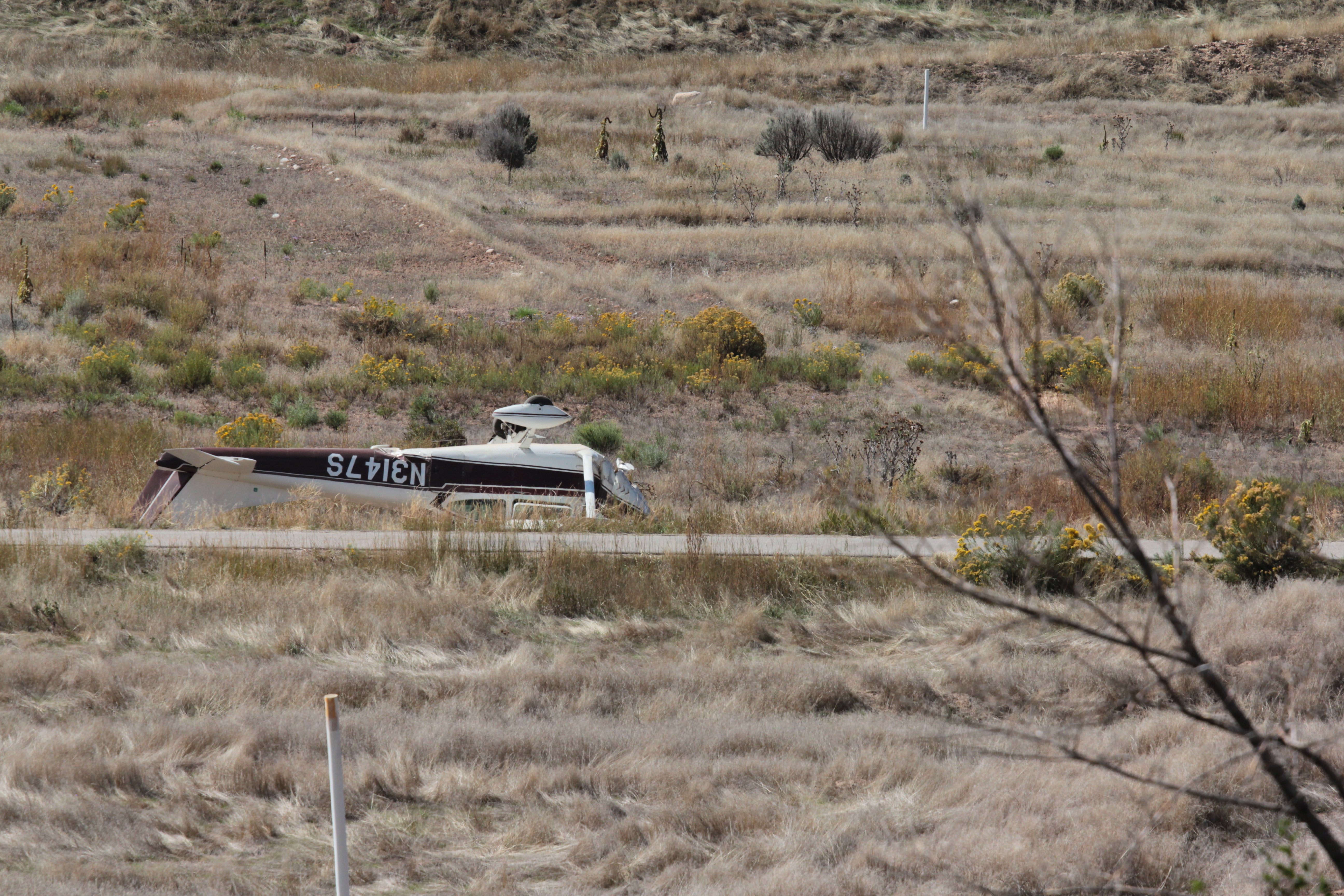 Small plane crashes in field near Carbondale | 9news.com