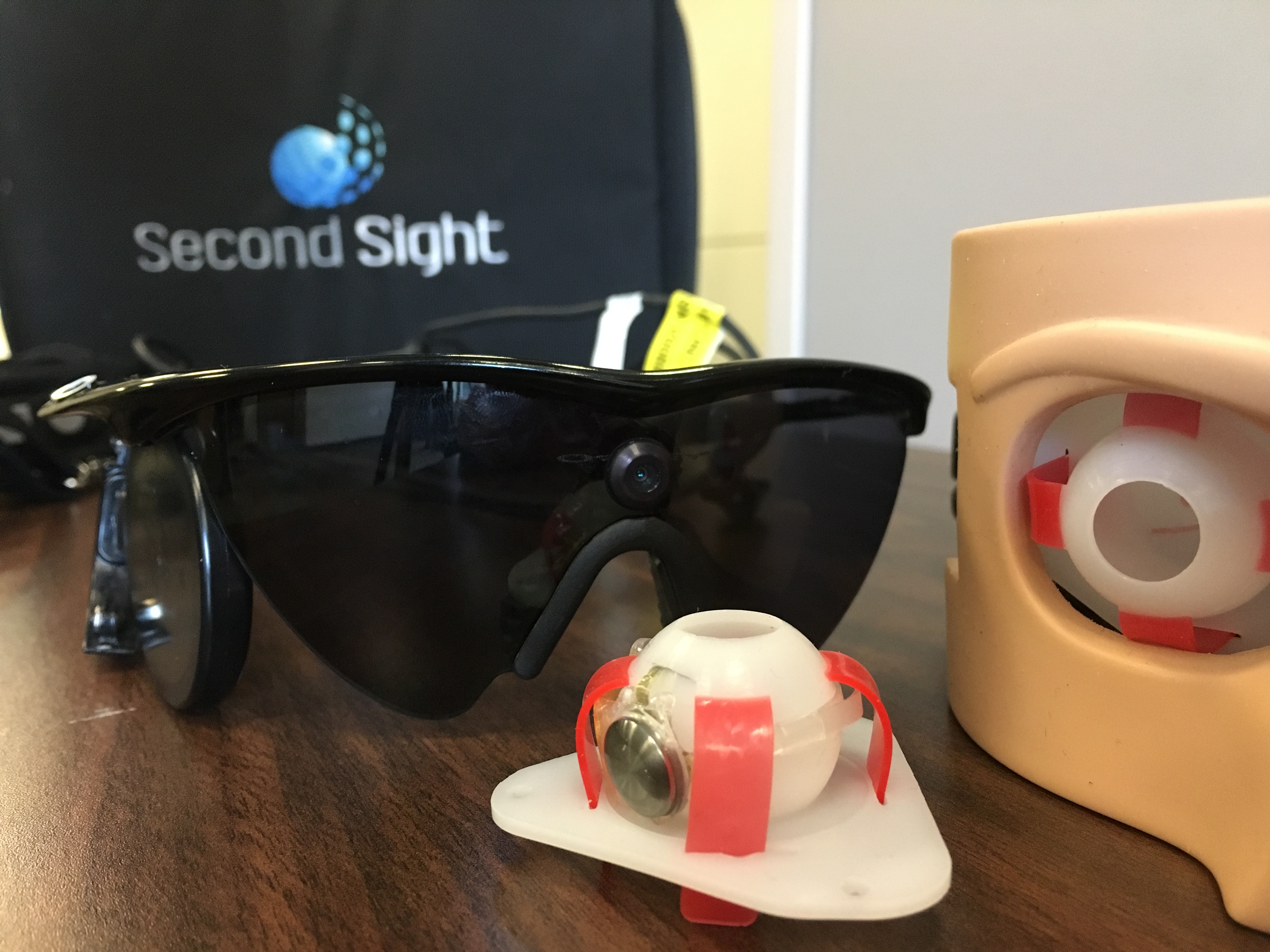 Bionic eye gives blind woman limited vision | 9news.com