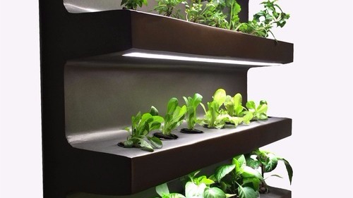 Home gardens go high tech | 9news.com