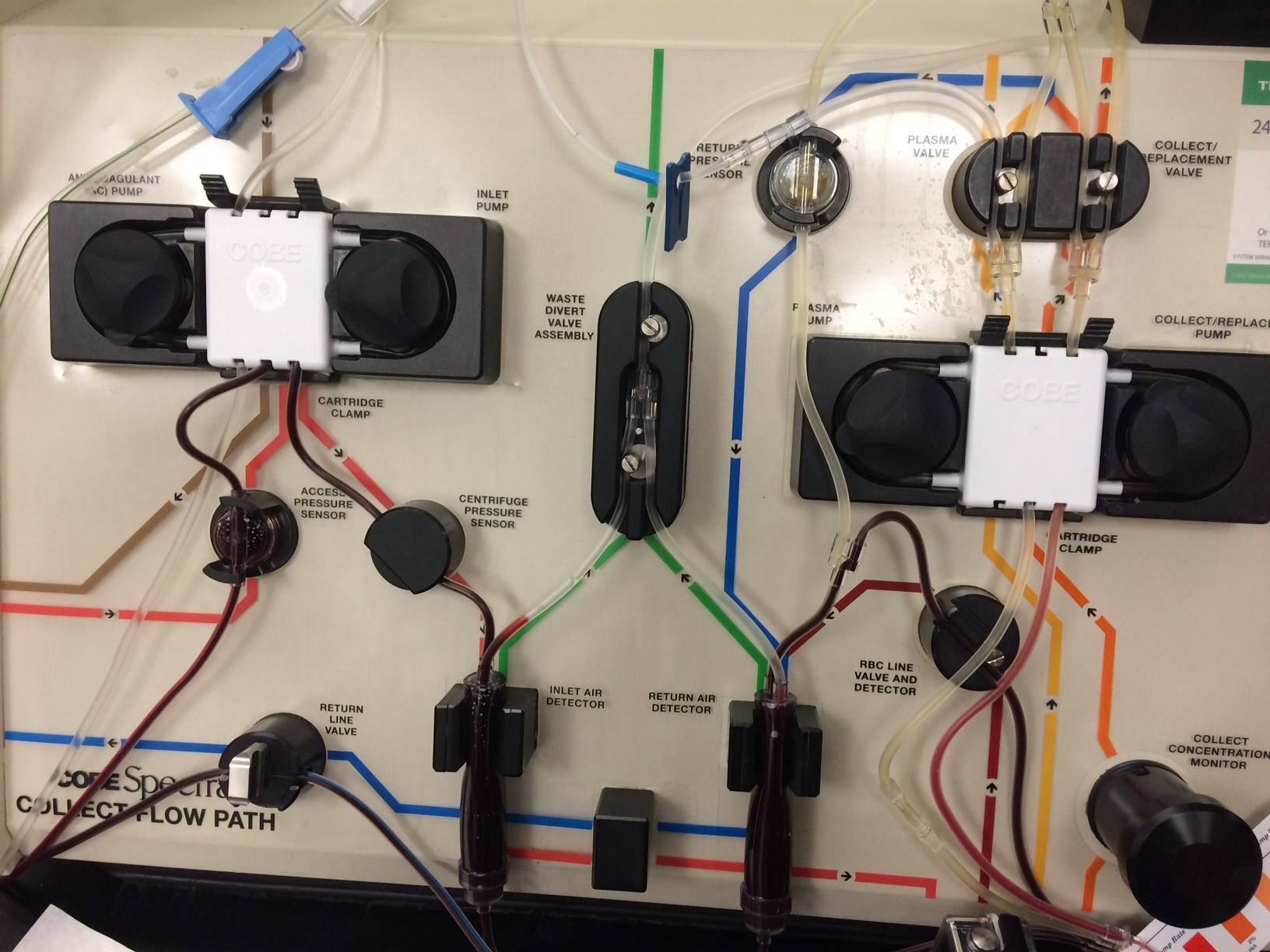 PHOTOS: CU star skips practice to save lives | 9news.com