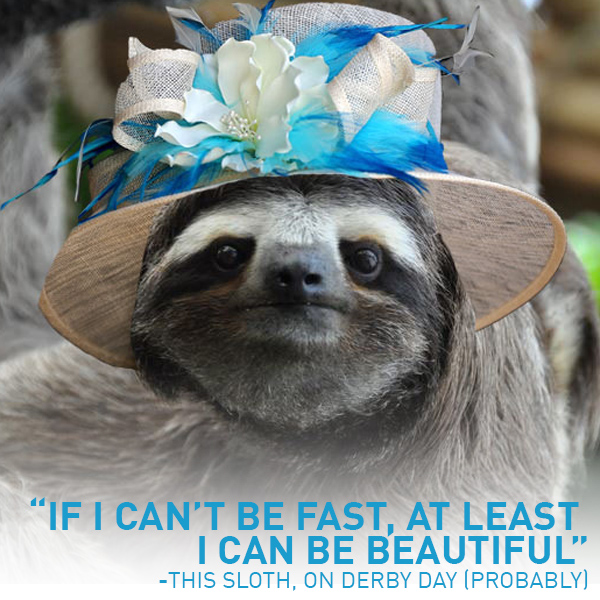 Kentucky Derby Hat Memes 3,046 Kentucky Derby Hats Stock Photos,