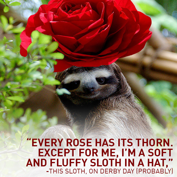 Do You Like Sloth Meme