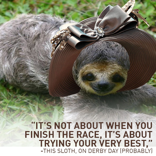 Here are some memes of sloths in derby hats to get you through your day ...