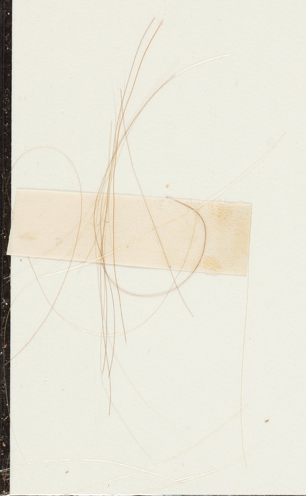 Locks of Thomas Jefferson's hair sell for thousands | 9news.com