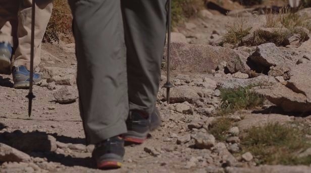 Park Service considers visitor caps, expects record crowds | 9news.com