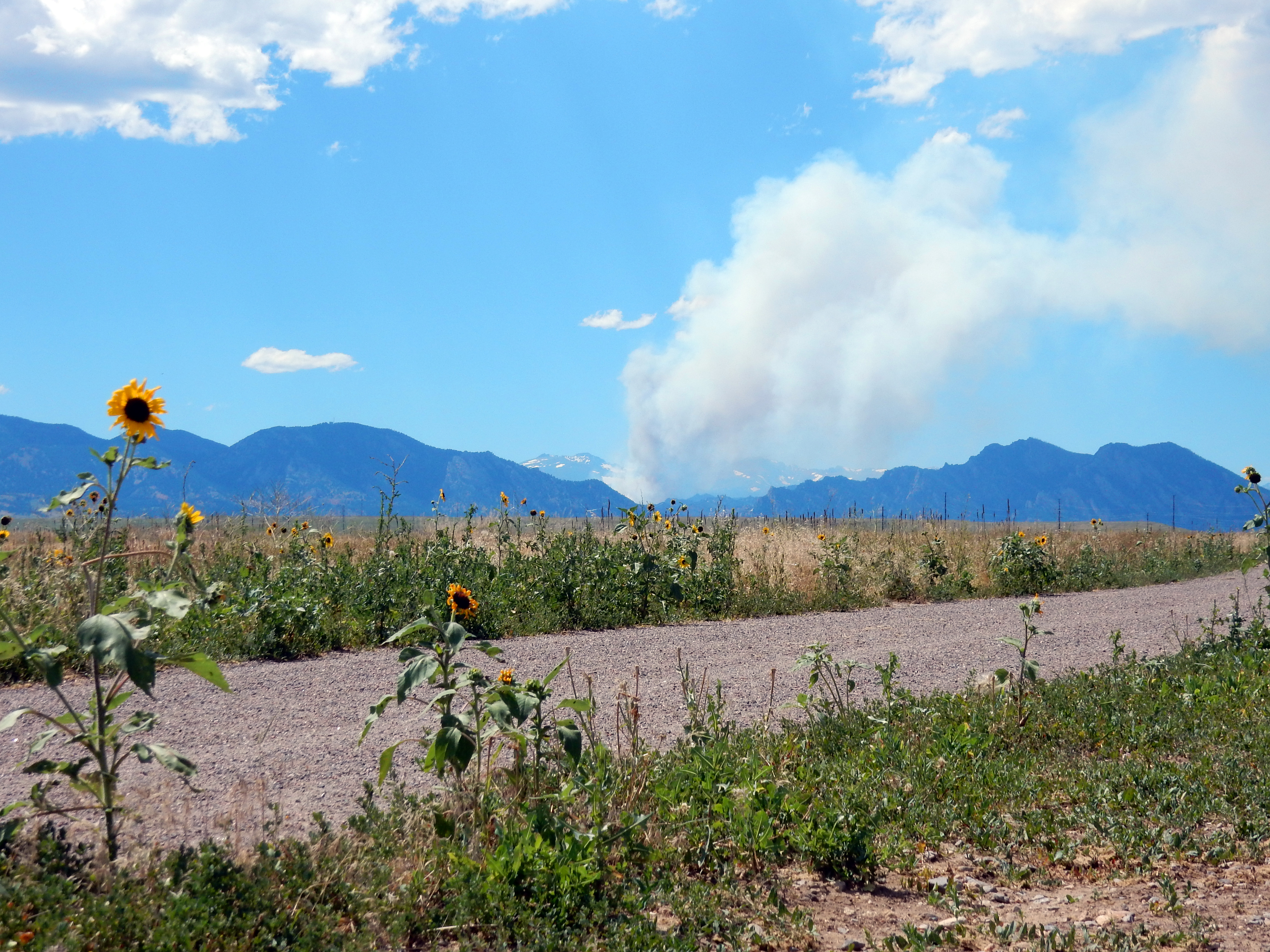 5 homes destroyed in Cold Springs Fire | 9news.com