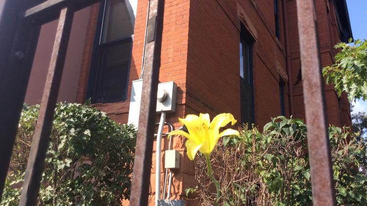 Tour Denver's Atlas Real Estate Group, in a landmark Victorian mansion ...