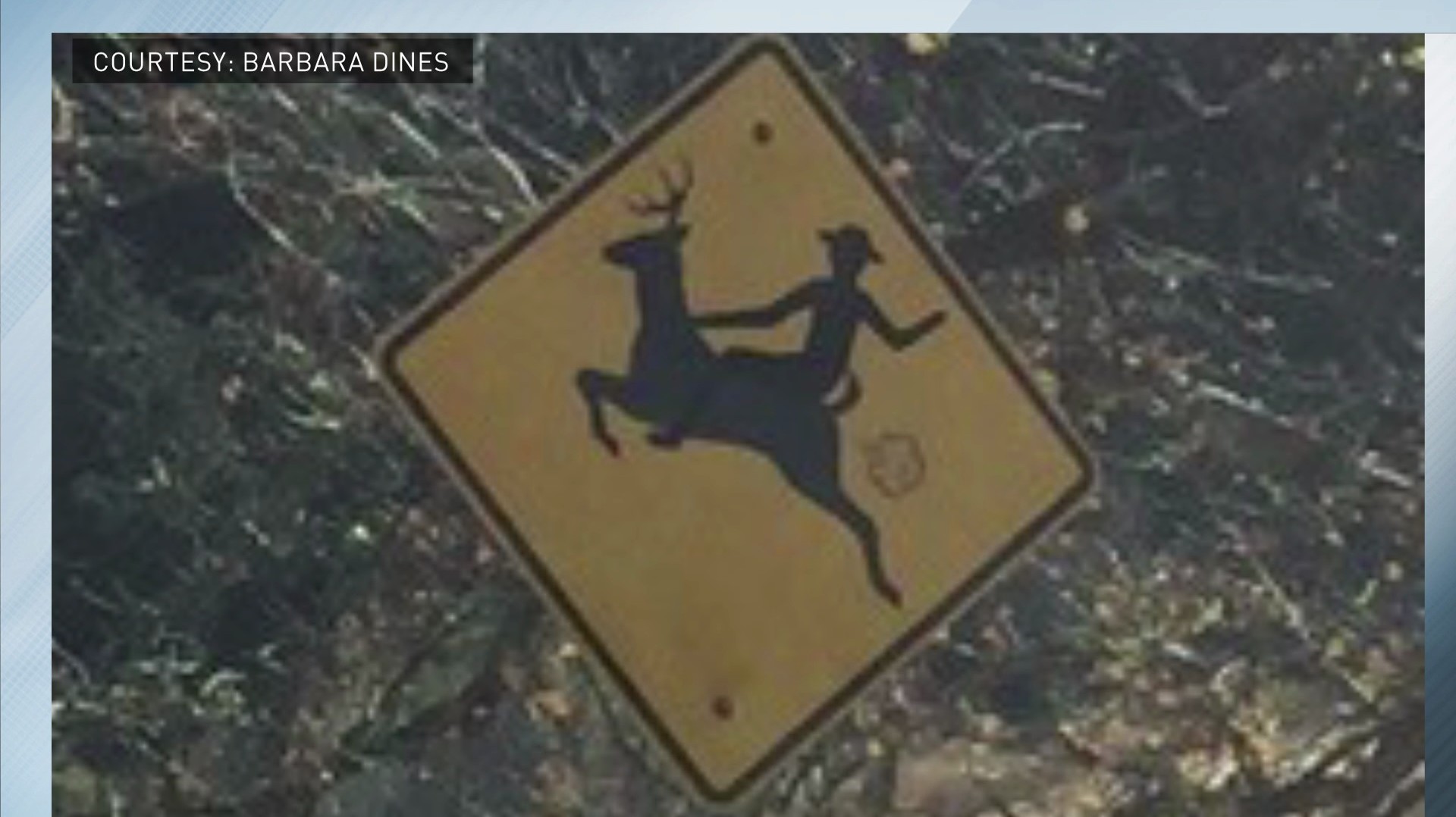We don't endorse defacing crossing signs | 9news.com