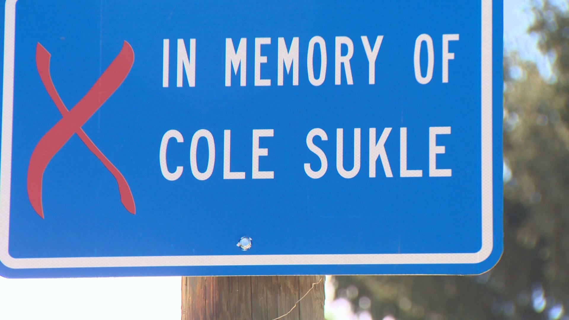 Memorial sign dedicated to teen hit and killed by 81-year-old drunk ...