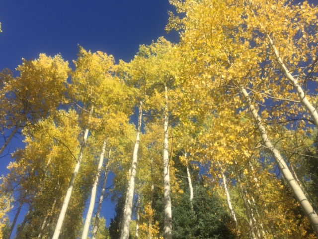A hike worthy of Colorado's stunning fall colors: Booth Falls in Vail ...