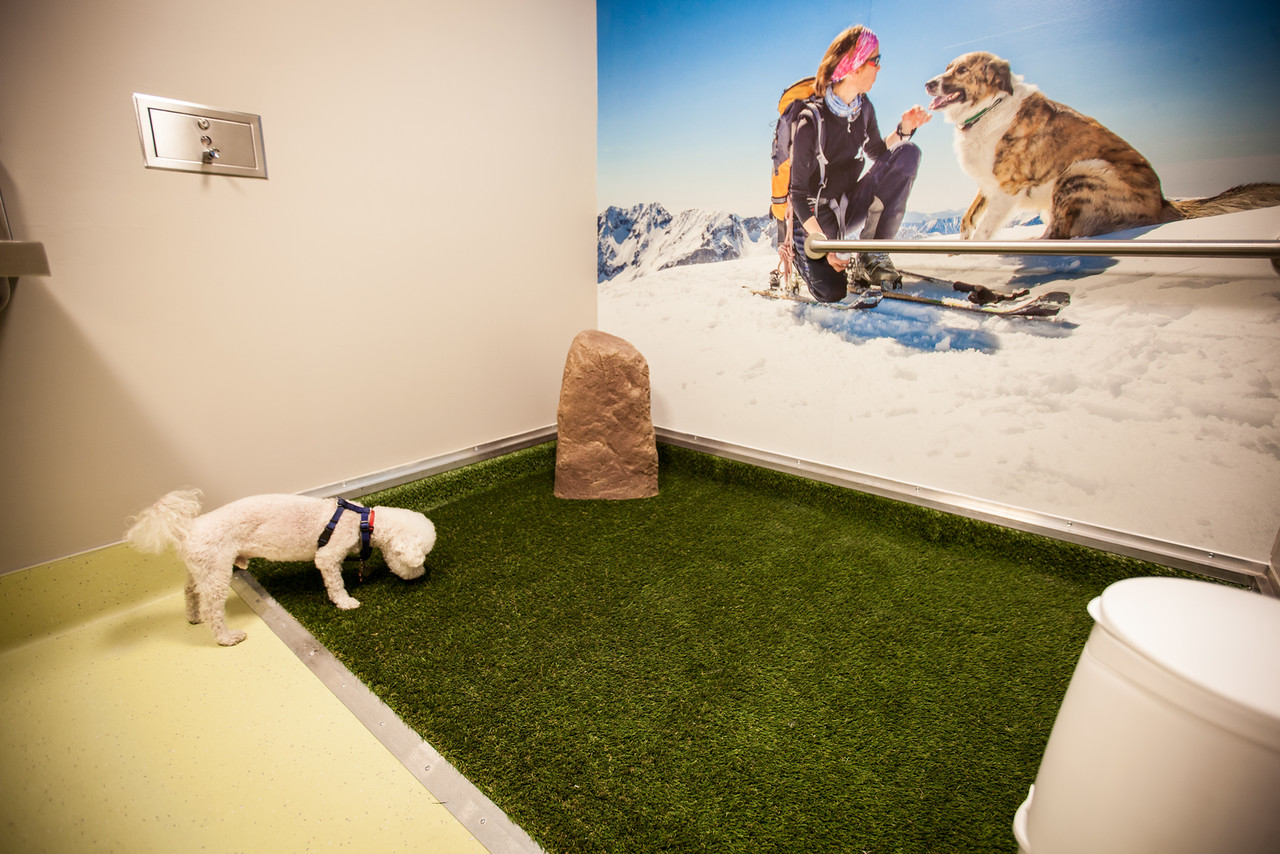 Relief rooms for furry travelers open at DIA | 9news.com
