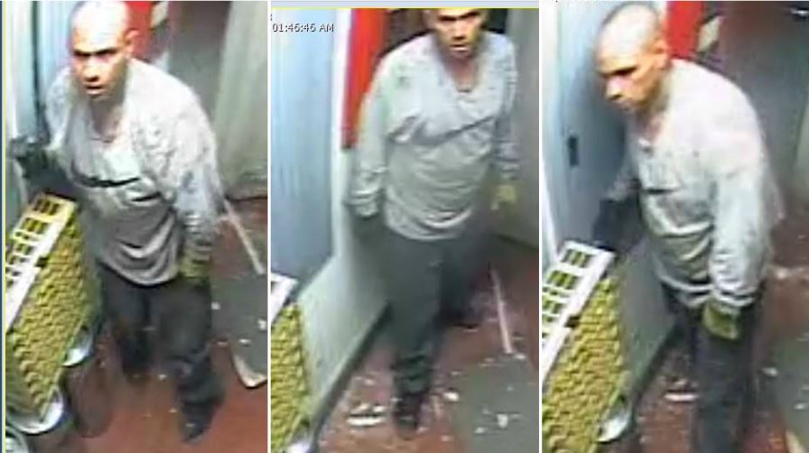 Aurora Police search for rooftop burglar | 9news.com