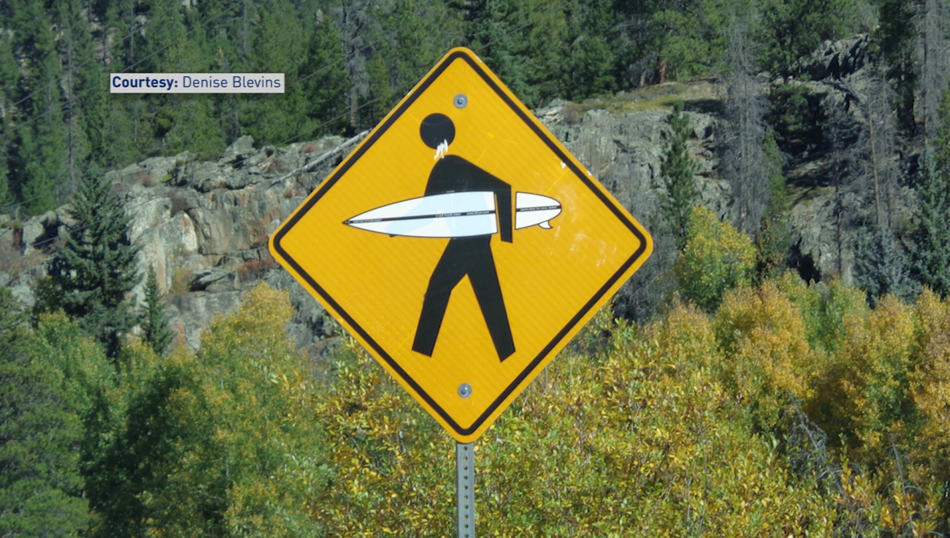 We don't endorse defacing crossing signs | 9news.com