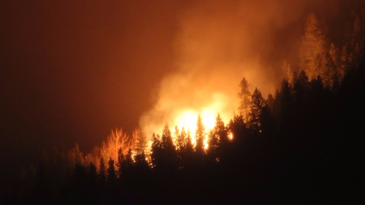 Structure destroyed in fire on Guanella Pass | 9news.com