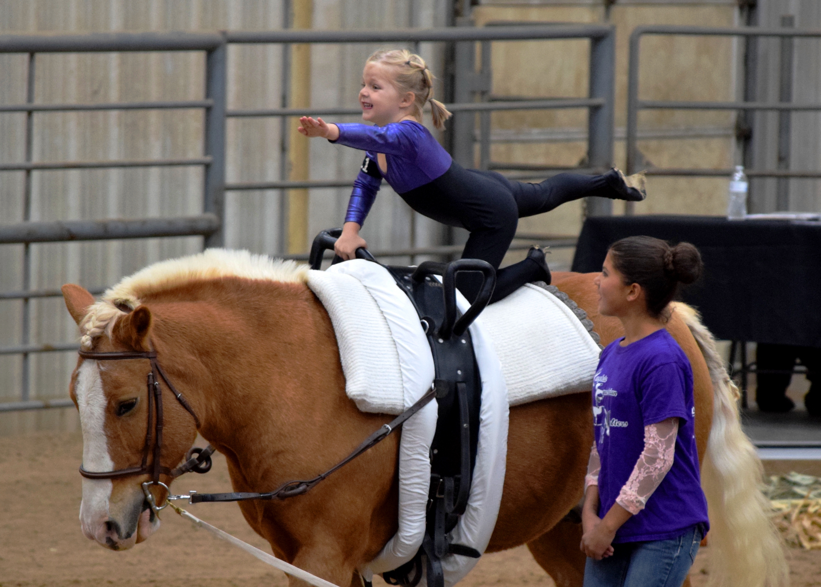 Horse named Chunky Monkey to receive lifetime achievement award | 9news.com