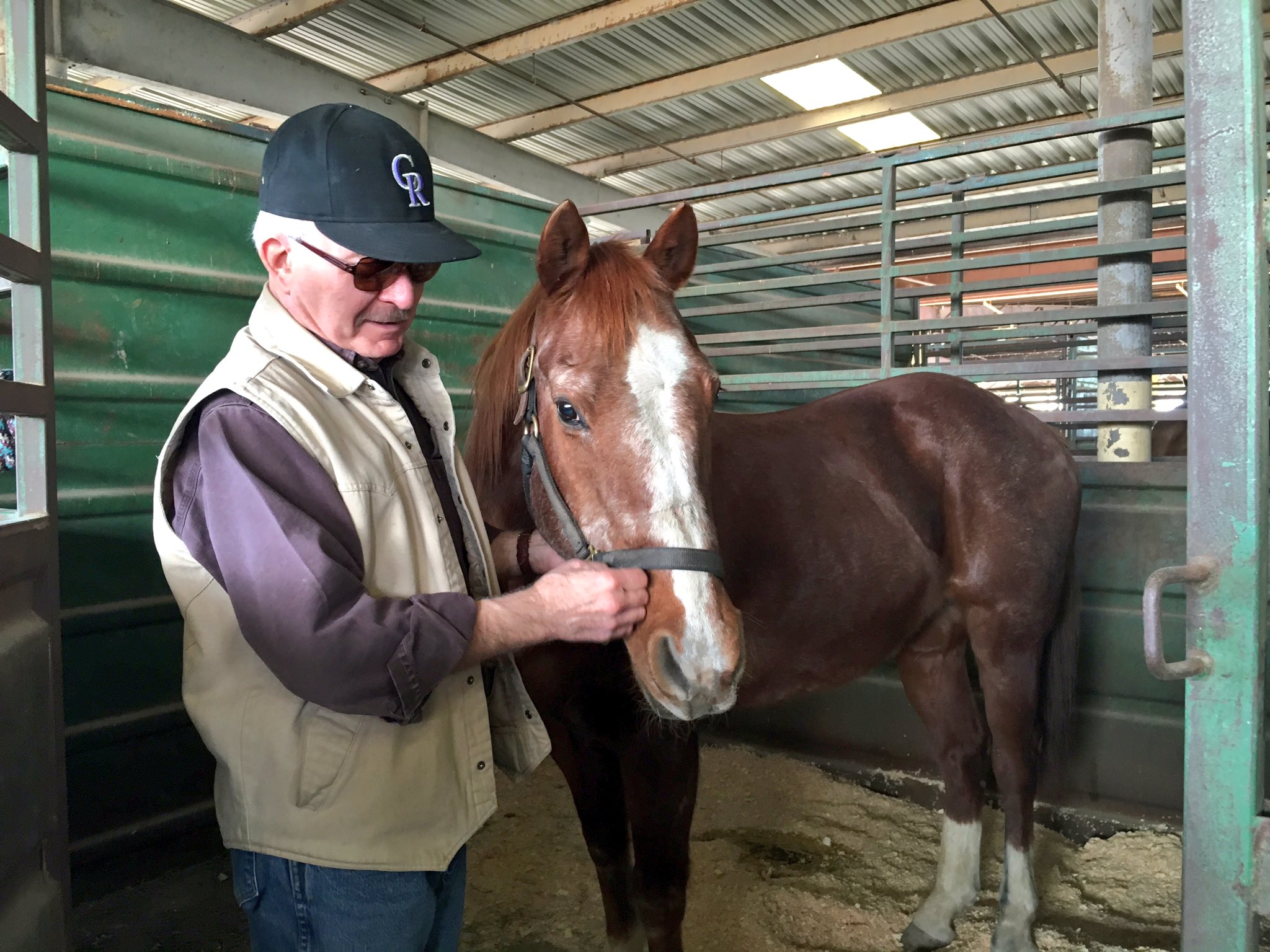 Rogers Fire animals allowed to go back home | 9news.com