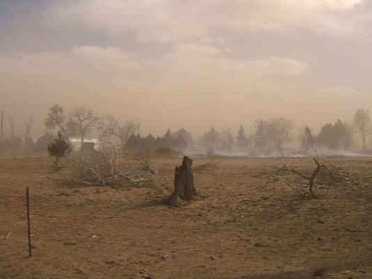 Farmers in need of supplies after northern Colorado fire | 9news.com