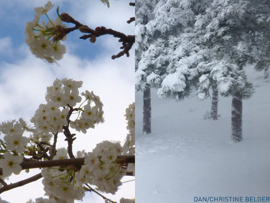 Read this before you call Colorado's weather 'Bipolar' | 9news.com