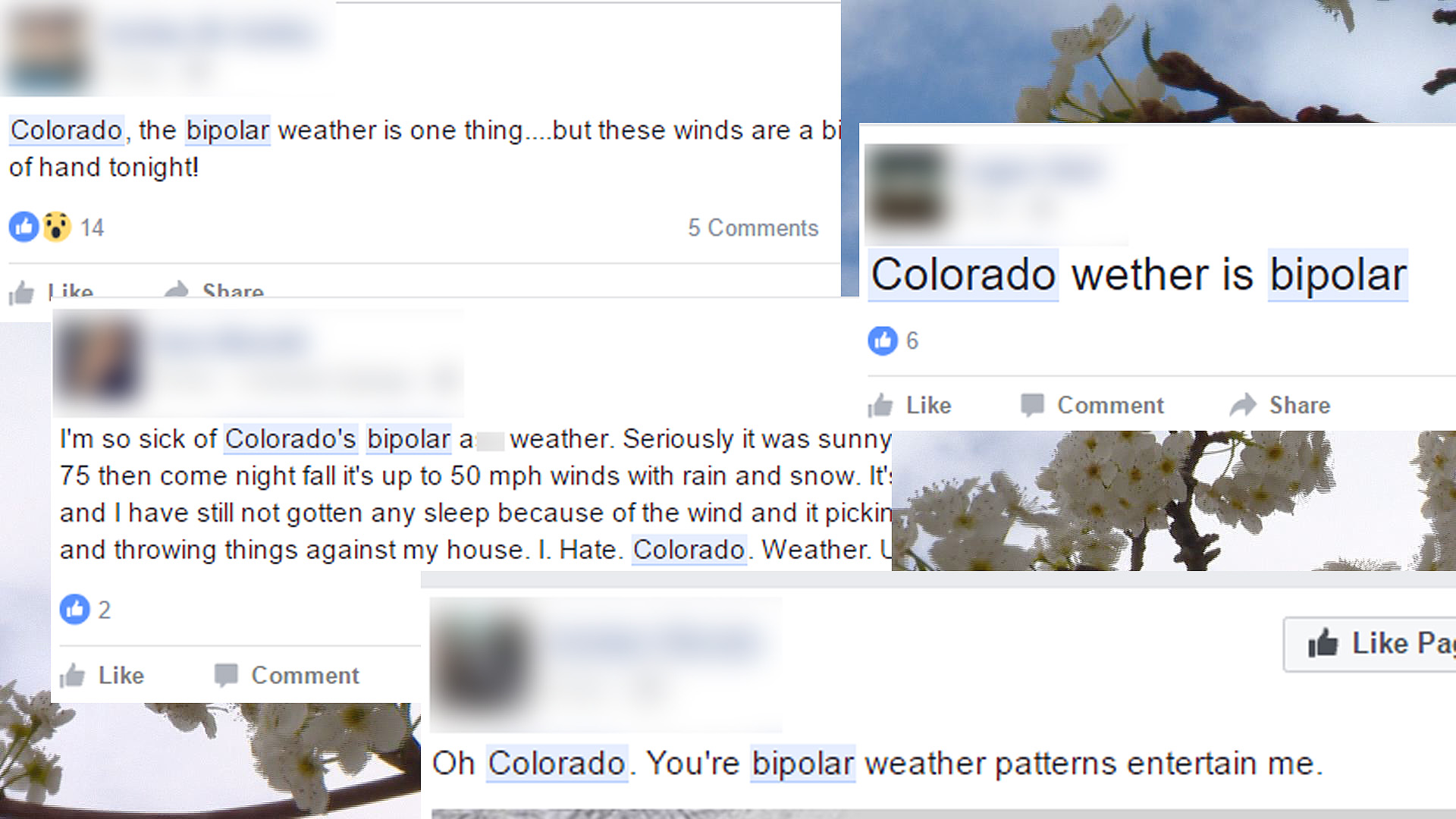 Read this before you call Colorado's weather 'Bipolar' | 9news.com
