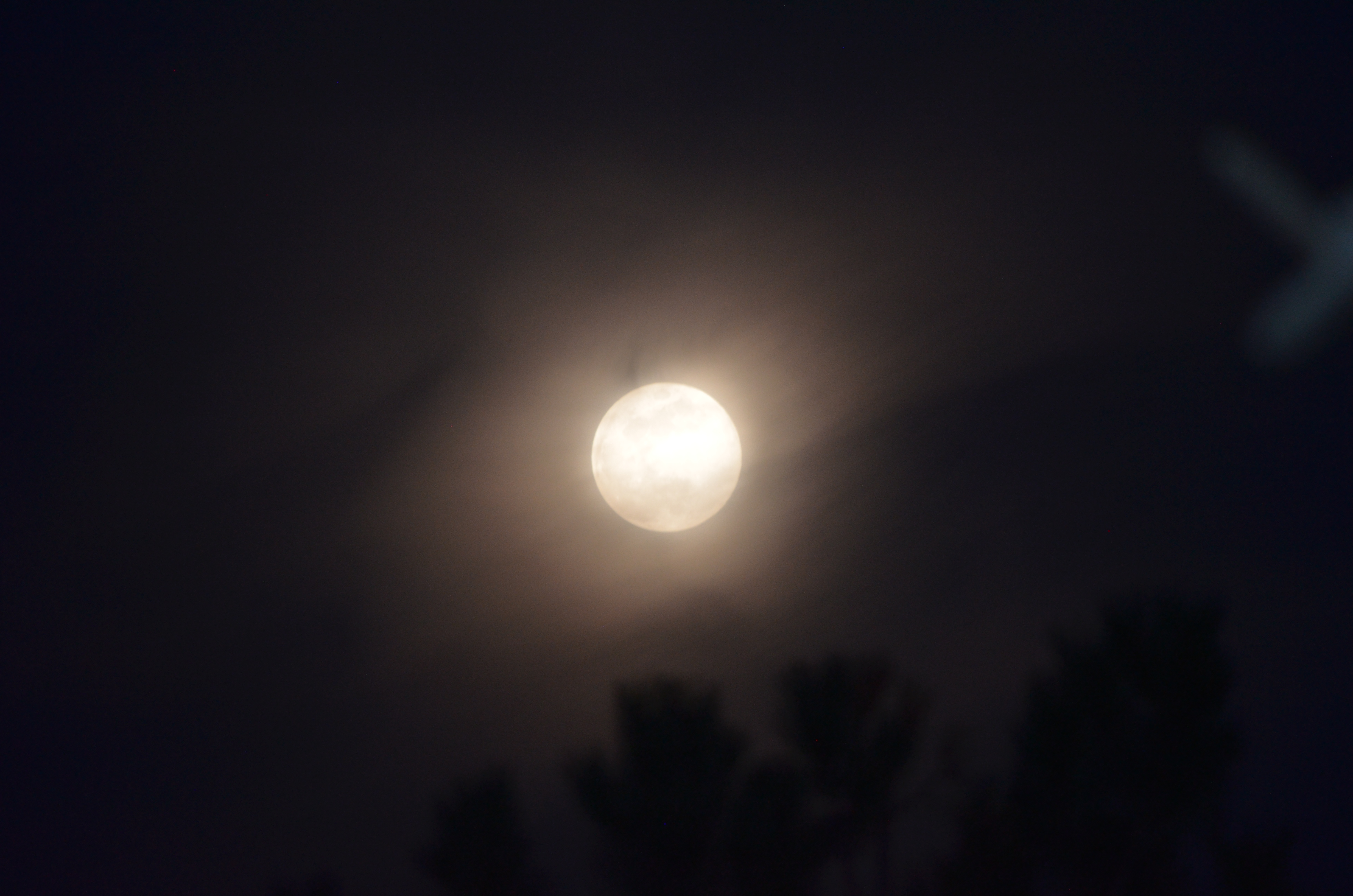 You can still see the Pink Moon tonight | 9news.com