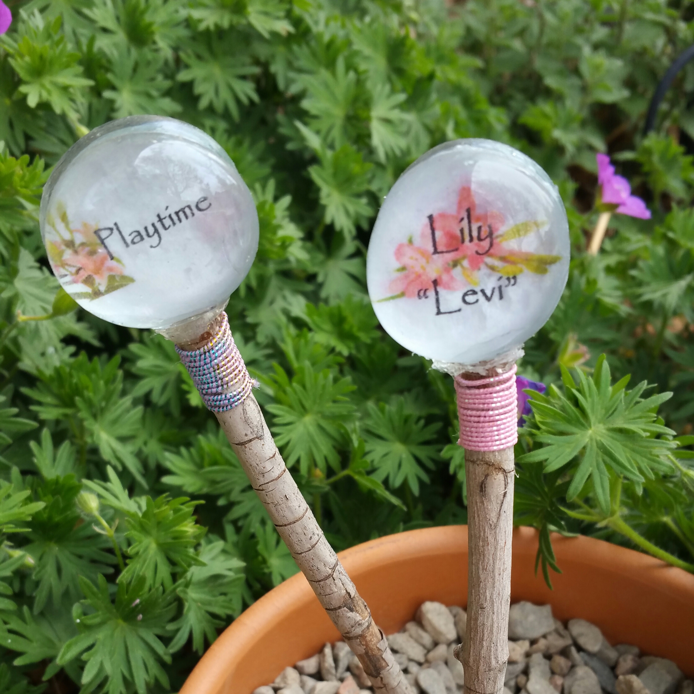 Take your plant labeling to the next level | 9news.com