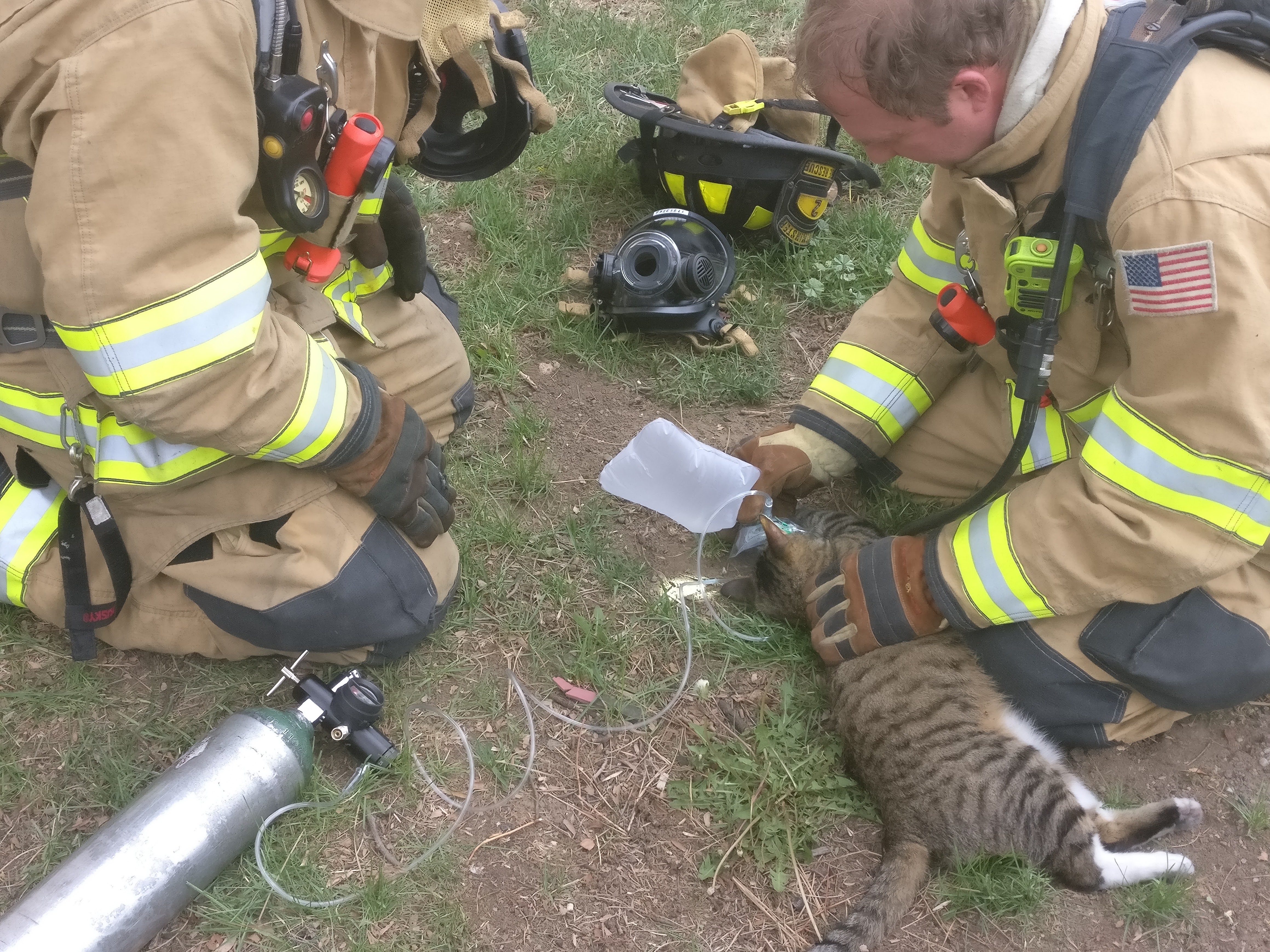 Firefighters treat people, pet cat after condo fire | 9news.com