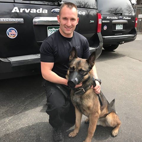 Meet the Arvada Police Department's 2 new K-9s | 9news.com