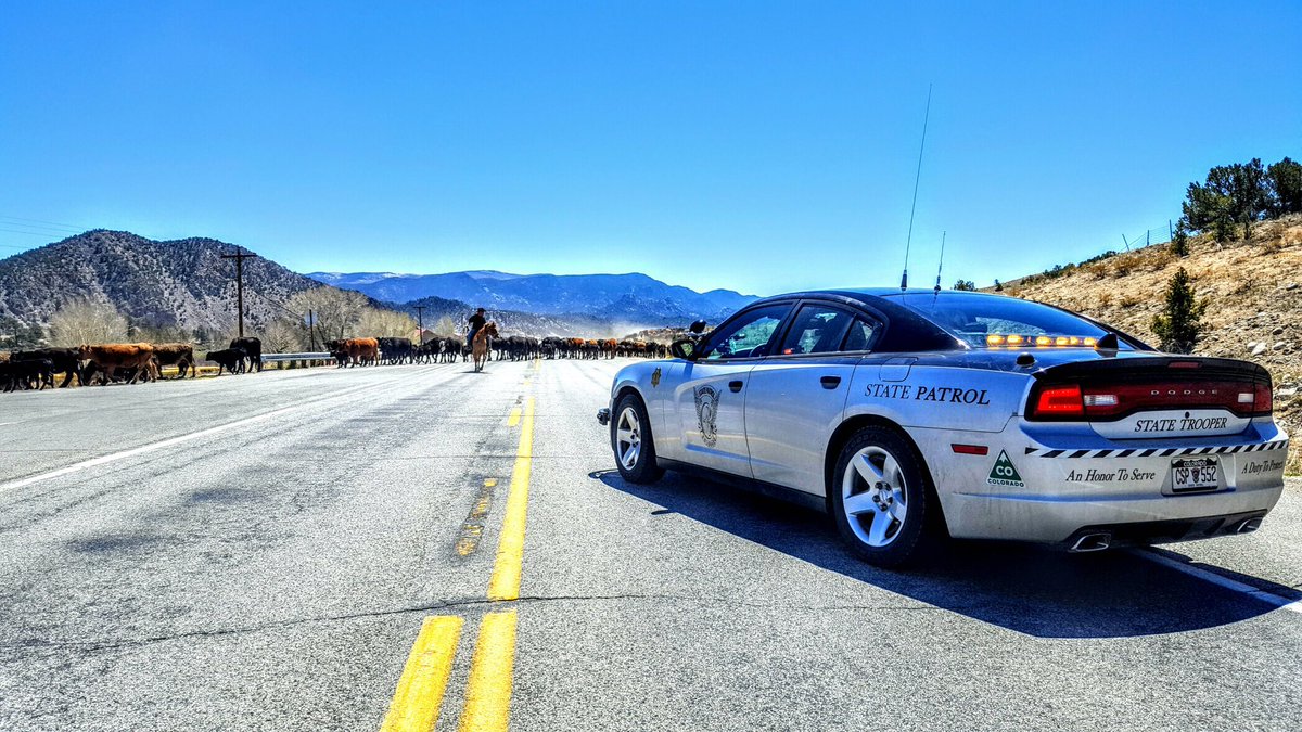 This CSP photo shows Colorado is still the Wild West | 9news.com