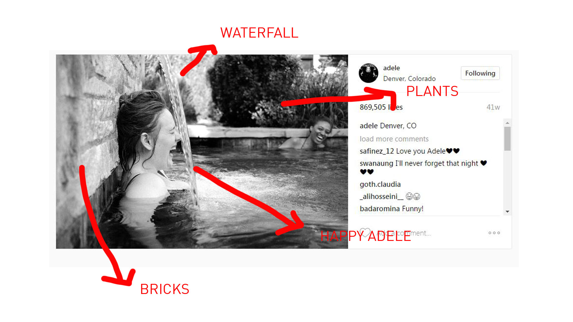We still don’t know which pool in Denver Adele liked so much | 9news.com