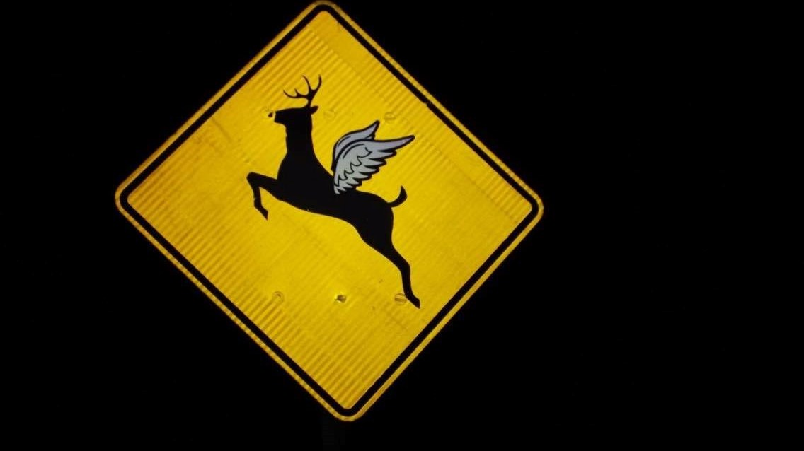 We don't endorse defacing crossing signs | 9news.com