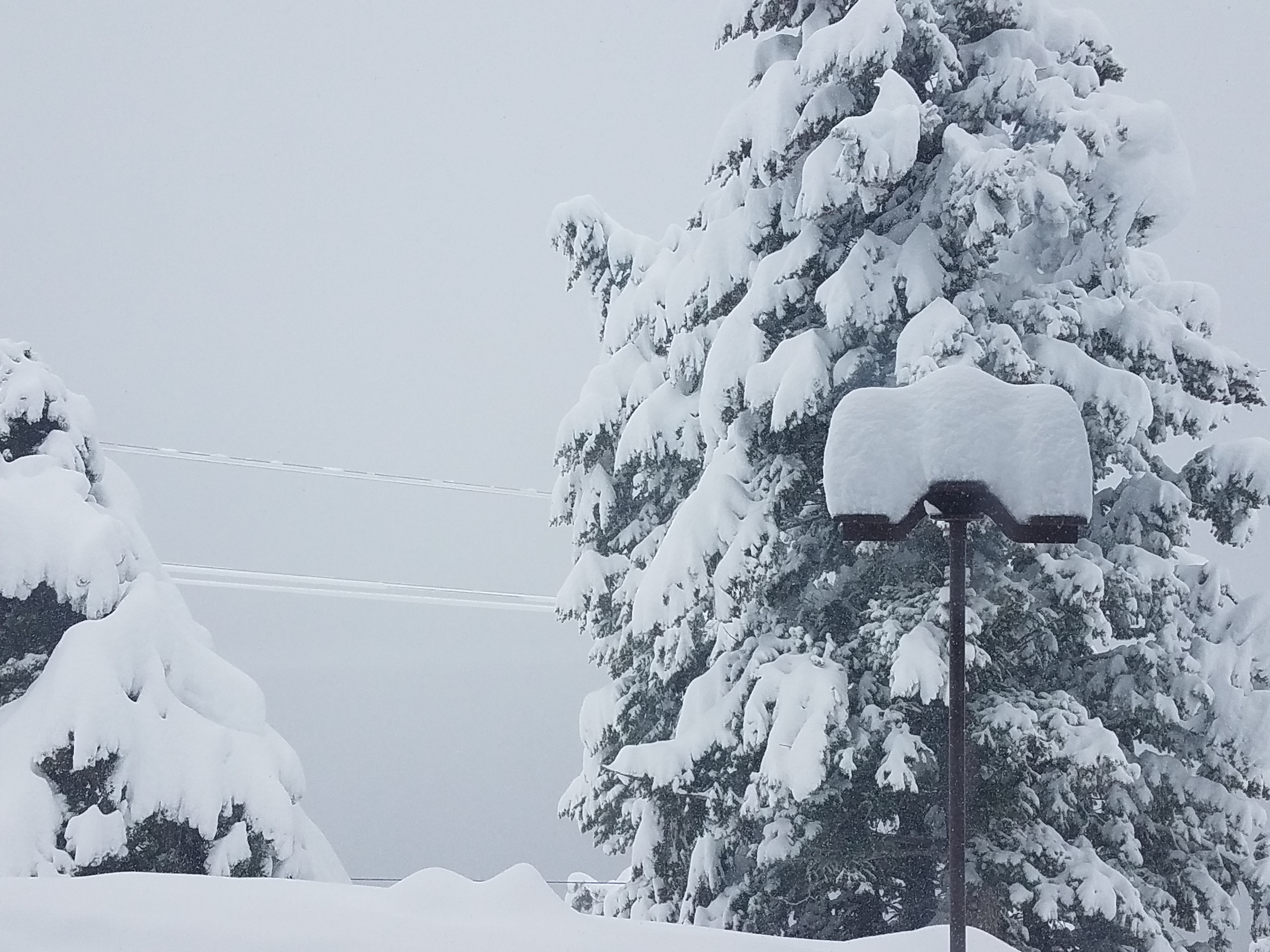 Red Cross opens shelter in Estes Park for May snow | 9news.com