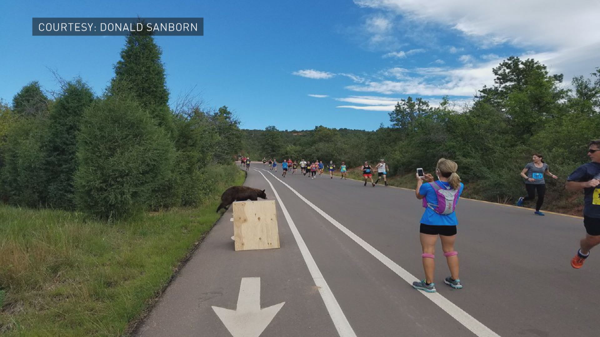 That's no normal runner: Bear crosses through Colorado race | 9news.com