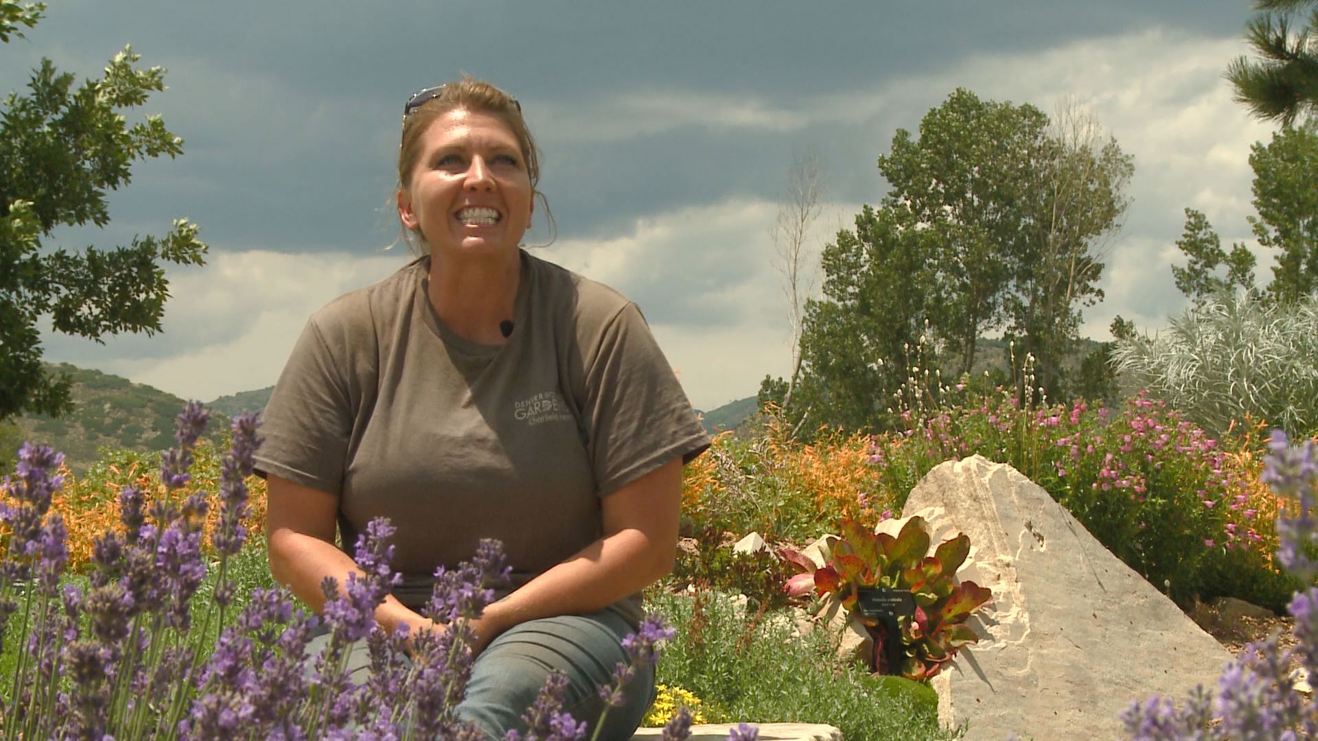 War veteran in Colorado turns gardening into second career | 9news.com