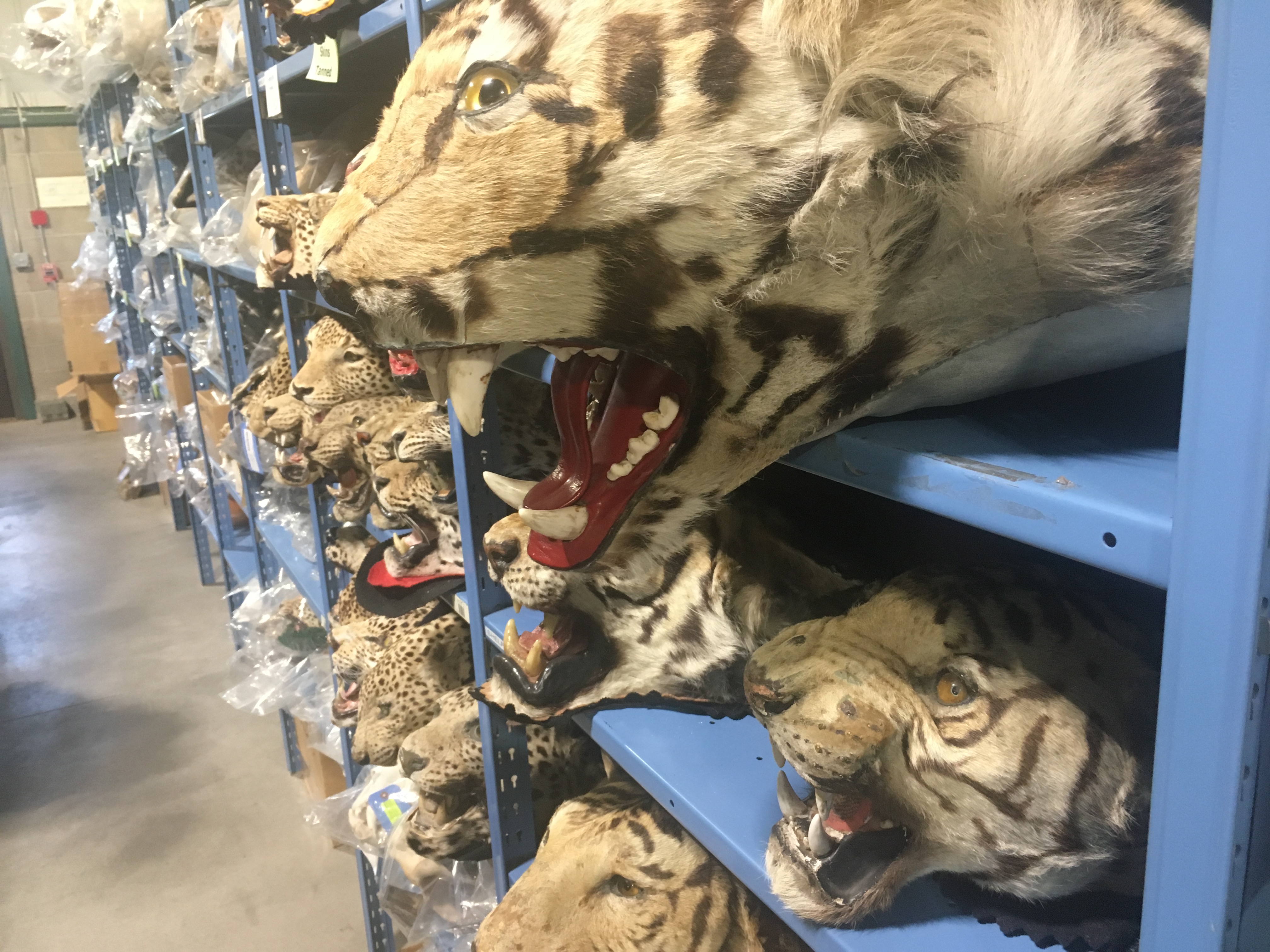 PHOTOS: Inside the National Eagle Repository at the Rocky Mountain ...